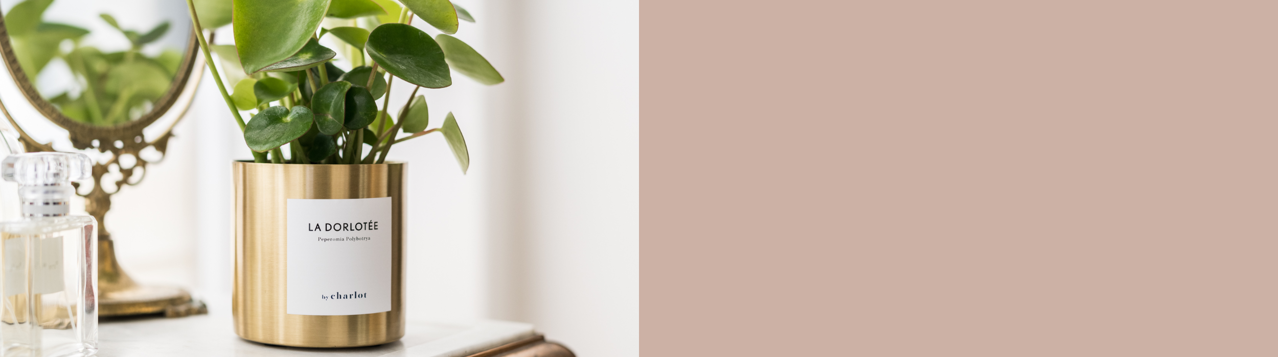 Les Incontournables – BY CHARLOT